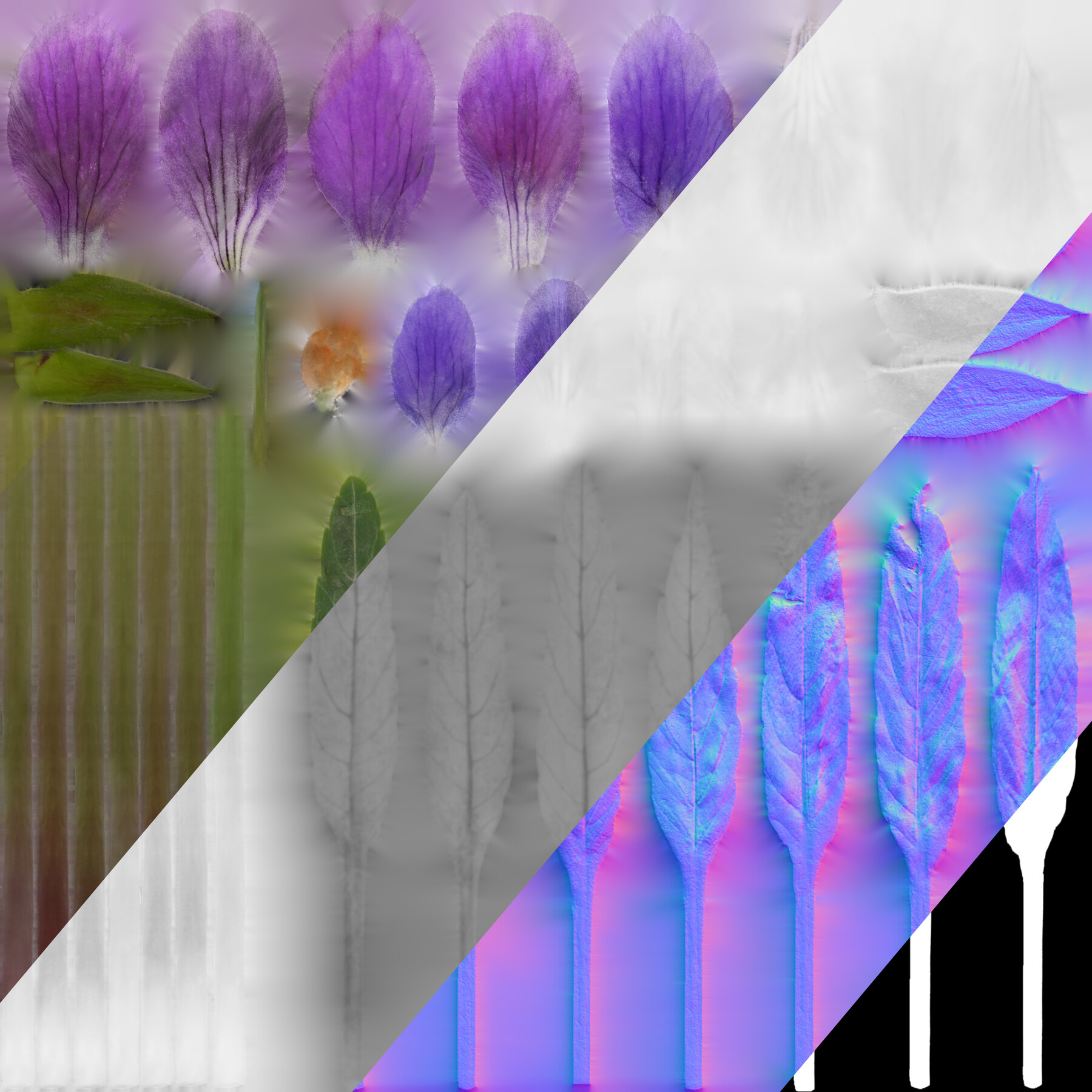 ArtStation - 3D Flower | Viola Philippica | VFX Grace | Game Assets