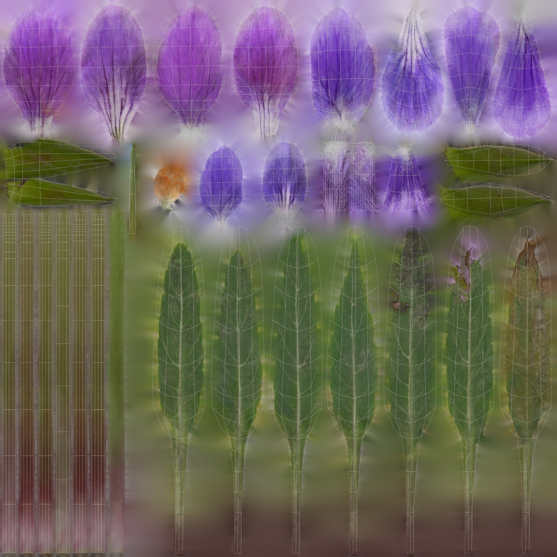 ArtStation - 3D Flower | Viola Philippica | VFX Grace | Game Assets