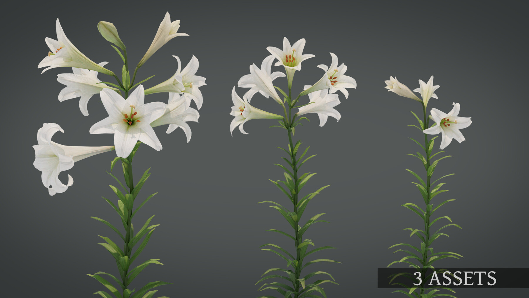 ArtStation - 3D Flower | Lily Flower | Game Assets