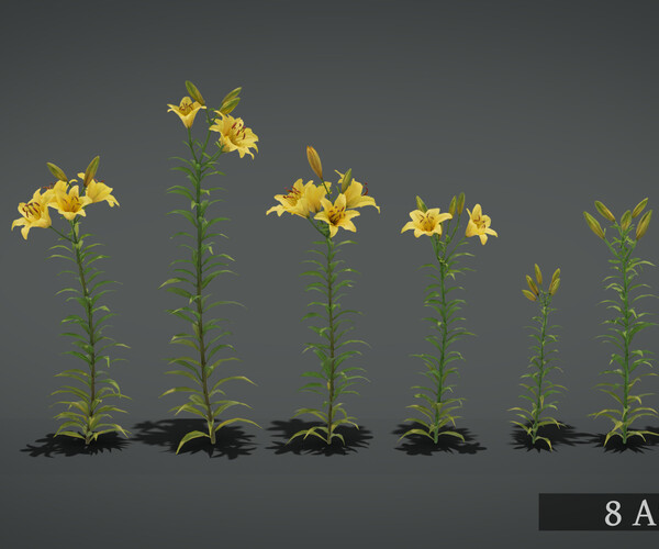 ArtStation - 3D Flower | Lily Flower | Game Assets