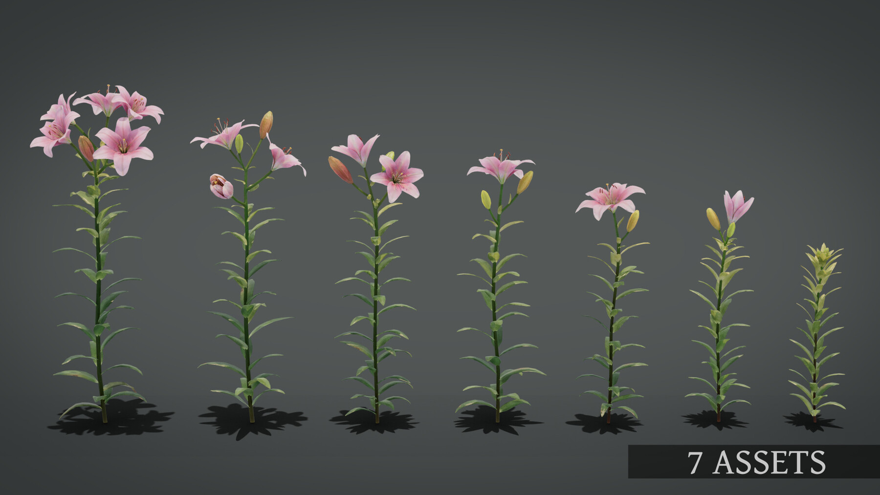 ArtStation - 3D Flower | Lily Flower | Game Assets