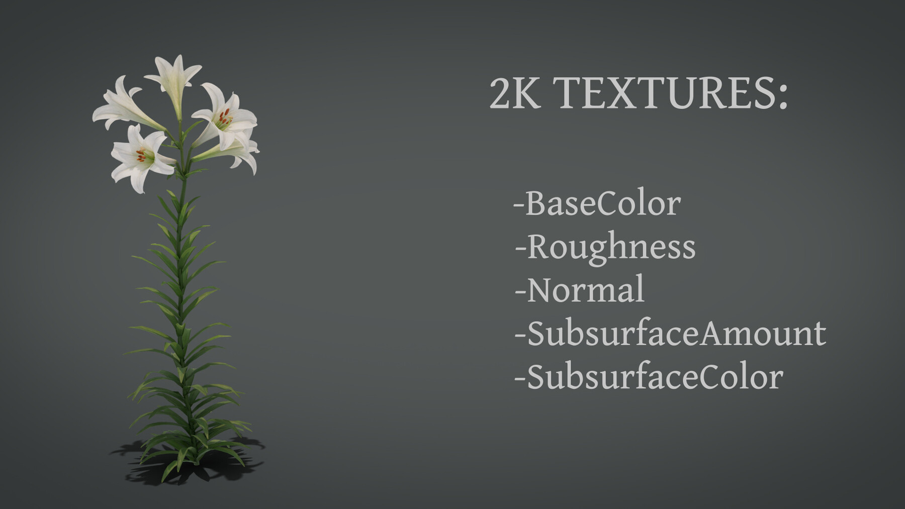 ArtStation - 3D Flower | Lily Flower | Game Assets