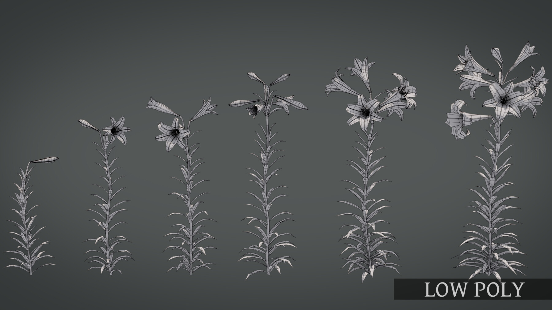 ArtStation - 3D Flower | Lily Flower | Game Assets