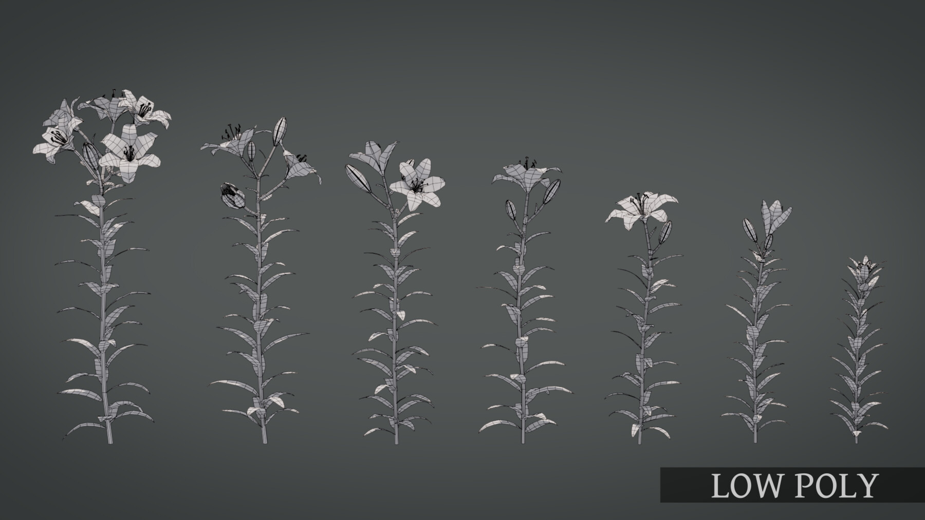 ArtStation - 3D Flower | Lily Flower | Game Assets