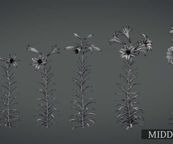 ArtStation - 3D Flower | Lily Flower | Game Assets