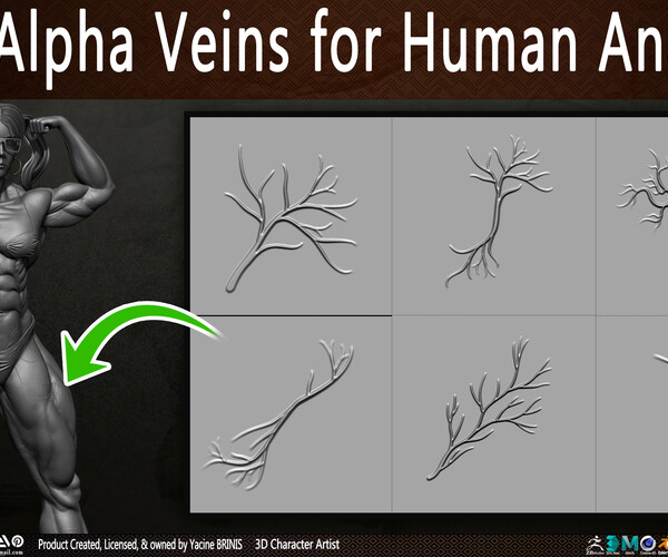 ArtStation - 60 Alpha Veins for Human Anatomy | Brushes