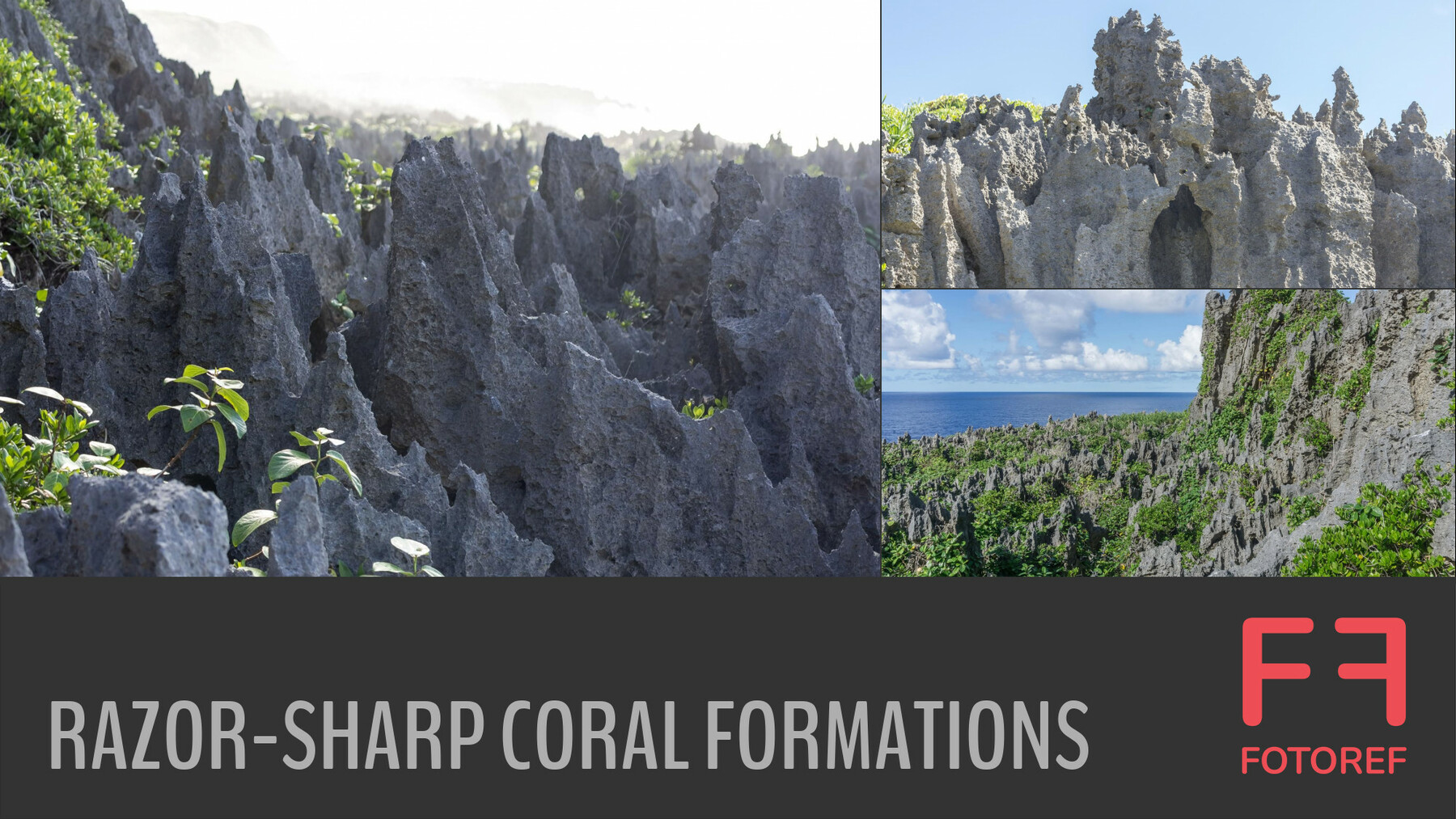 ArtStation - 280 photos of Razor-Sharp Coral Formations | Resources
