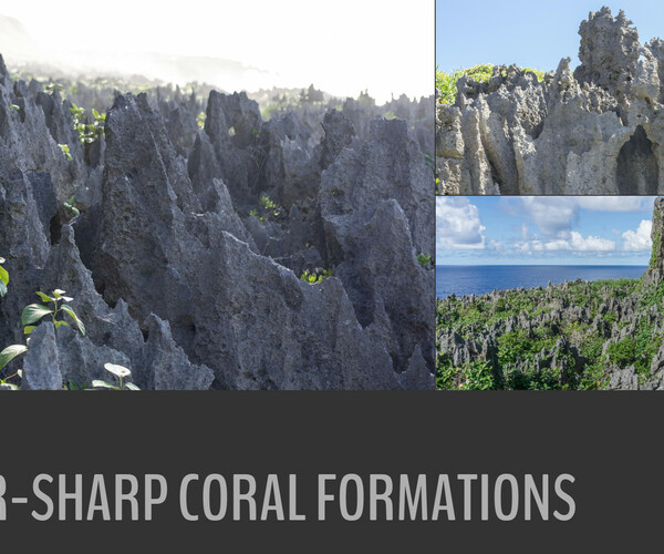 ArtStation - 280 photos of Razor-Sharp Coral Formations | Resources