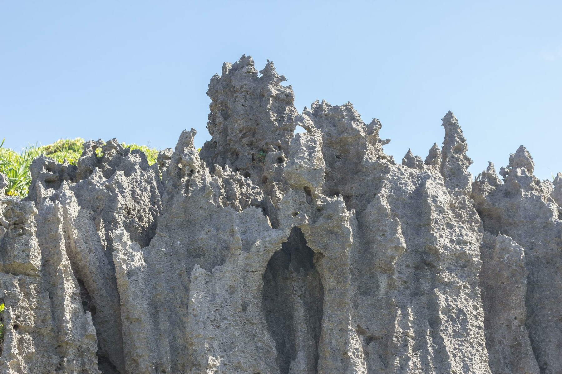 ArtStation - 280 photos of Razor-Sharp Coral Formations | Resources