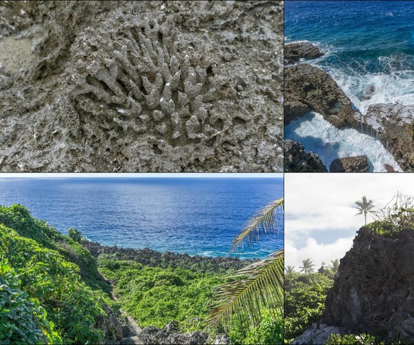 ArtStation - 280 photos of Razor-Sharp Coral Formations | Resources