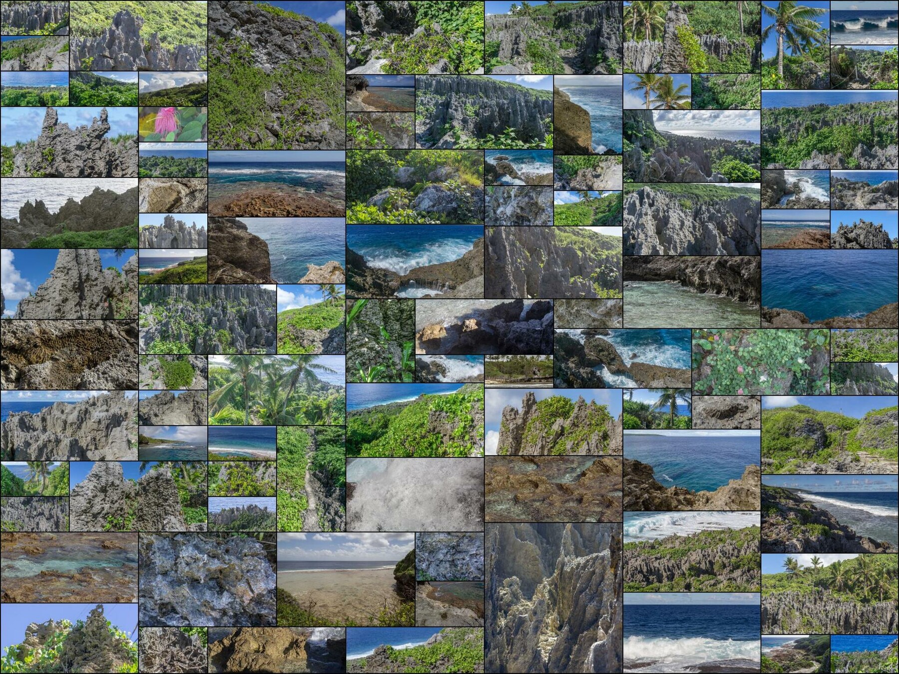 ArtStation - 280 photos of Razor-Sharp Coral Formations | Resources