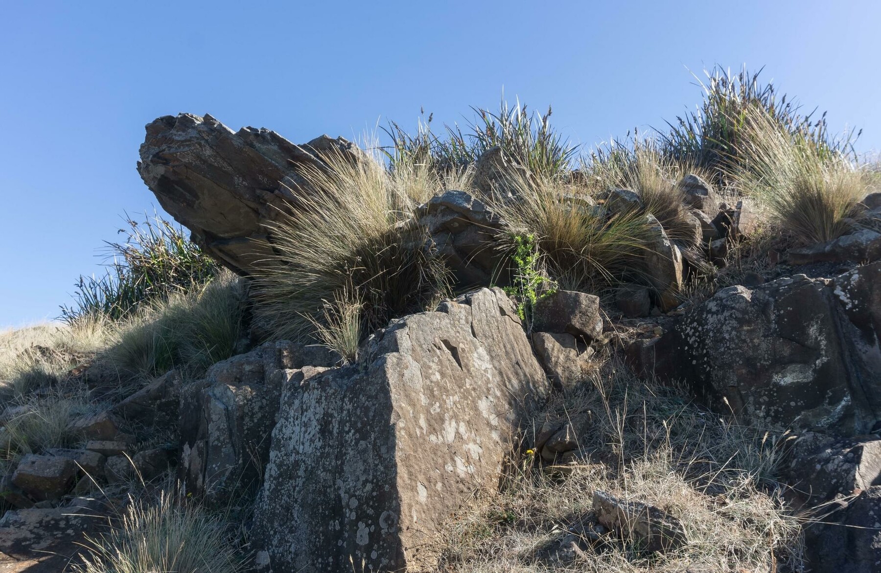 ArtStation - 203 photos of Spiky Rocks Beach | Resources