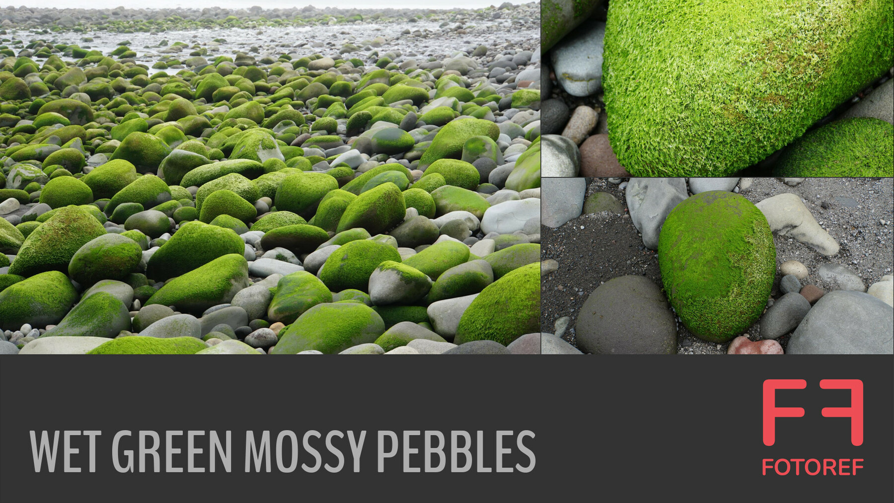 ArtStation - 61 photos of Wet Green Mossy Pebbles | Resources