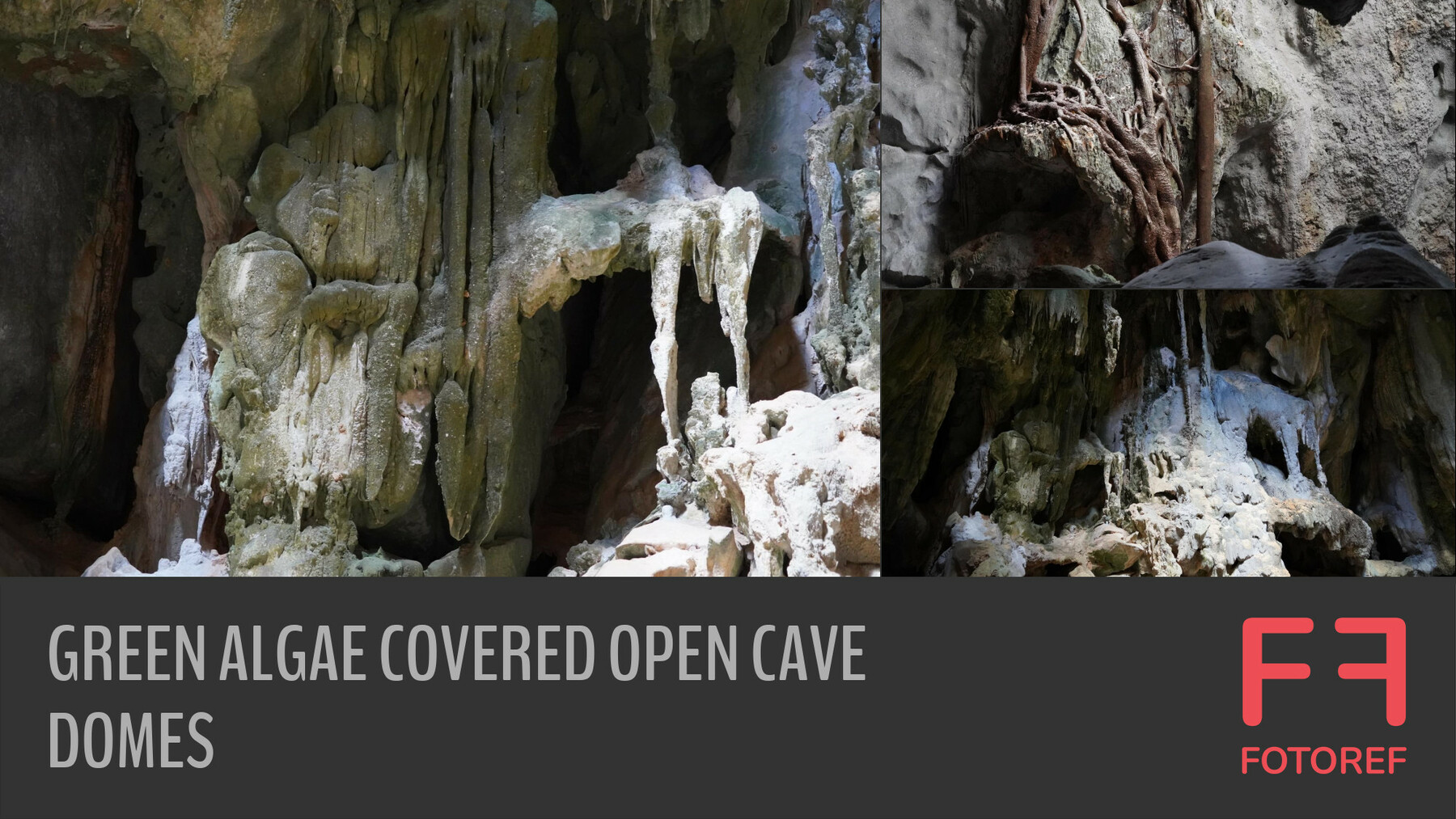 ArtStation - 212 photos of Green Algae Covered Open Cave Domes | Resources