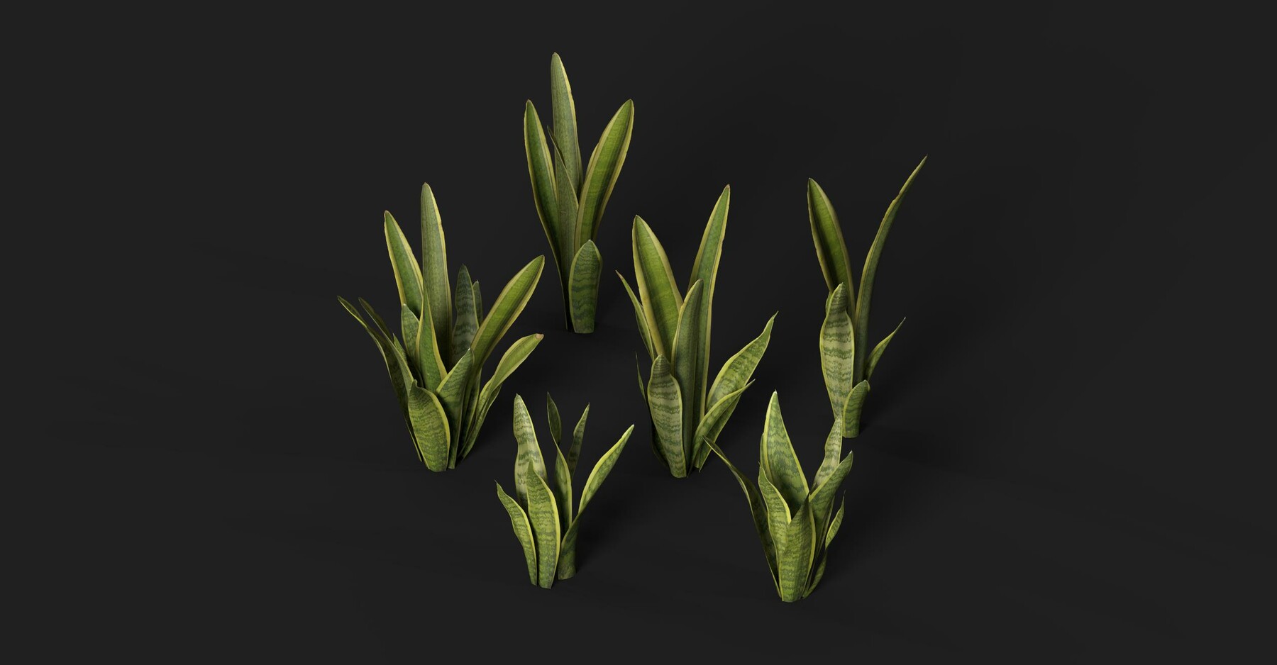 ArtStation - Snake Plant | Game Assets