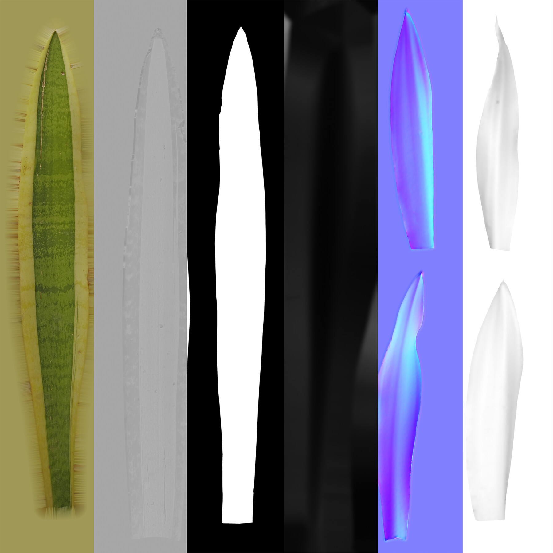 ArtStation - Snake Plant | Game Assets