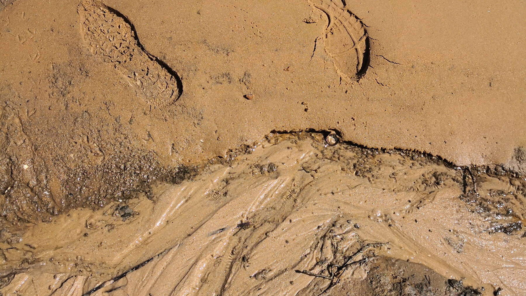 ArtStation - Sand Texture Pack | Resources