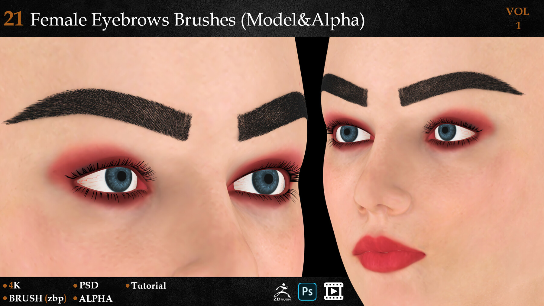ArtStation - 21 Female Eyebrows Brushes (Model&Alpha)-vol 1 | Brushes