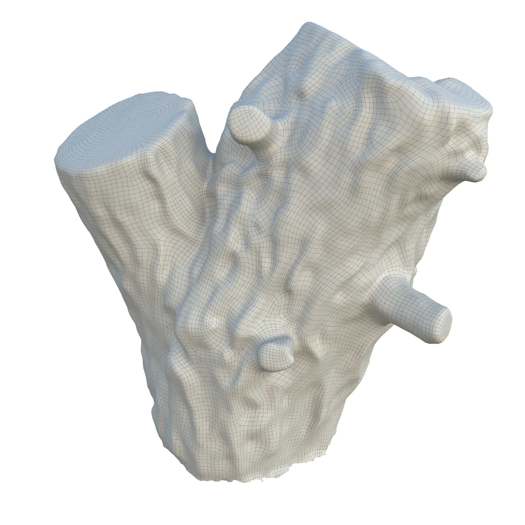 ArtStation - tree trunk pack total 10 tree trunks | Game Assets