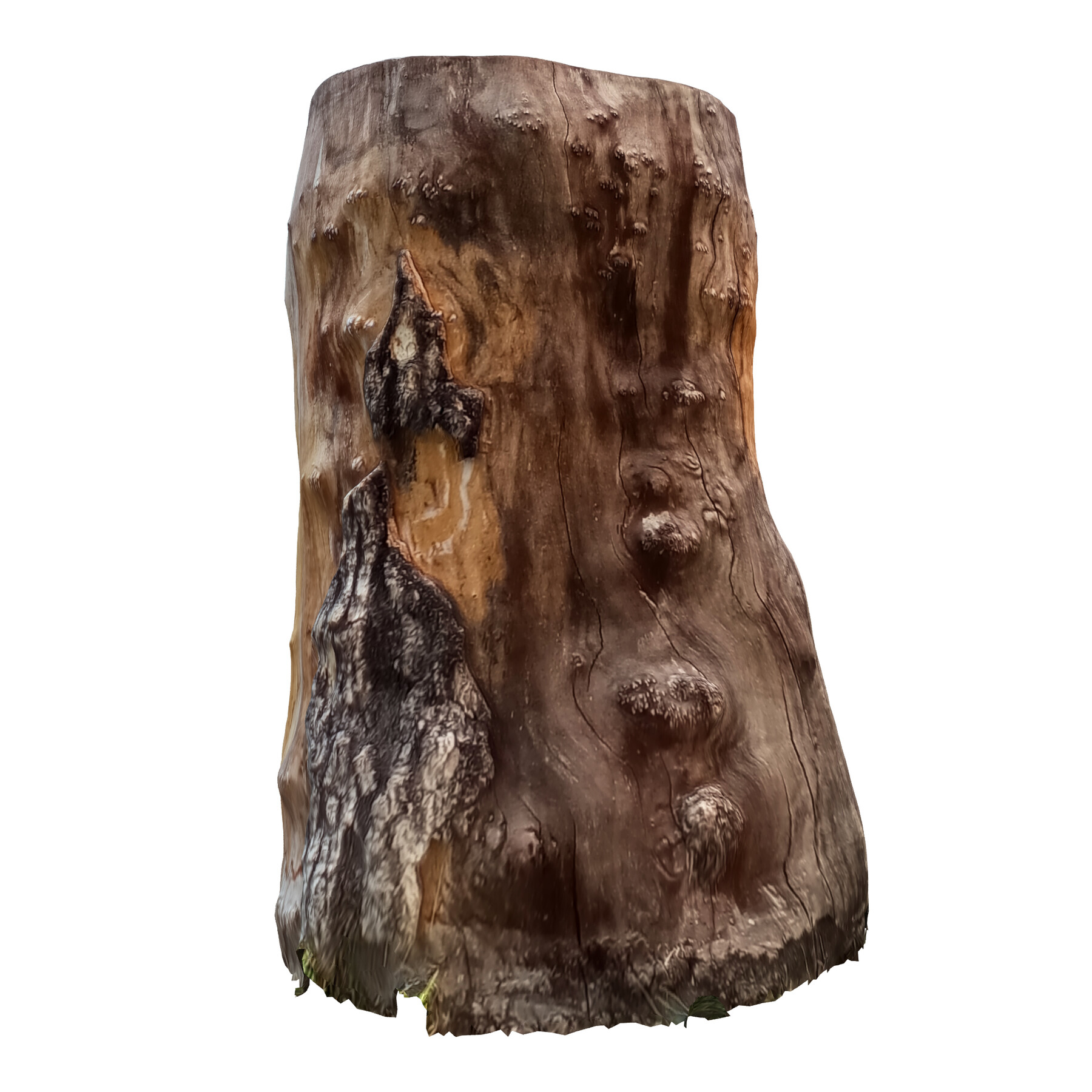 ArtStation - tree trunk pack total 10 tree trunks | Game Assets