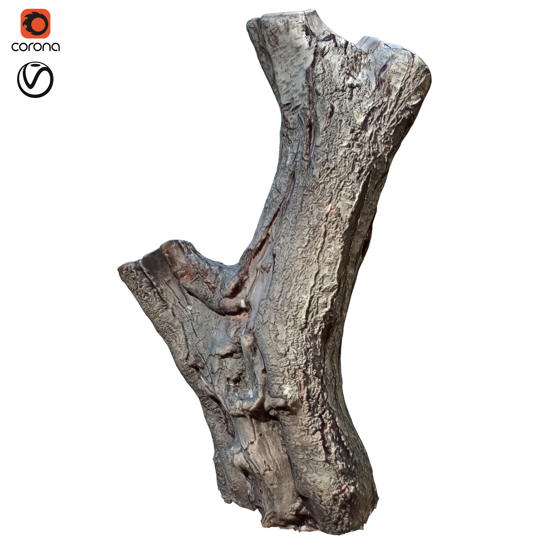 ArtStation - tree trunk pack total 10 tree trunks | Game Assets