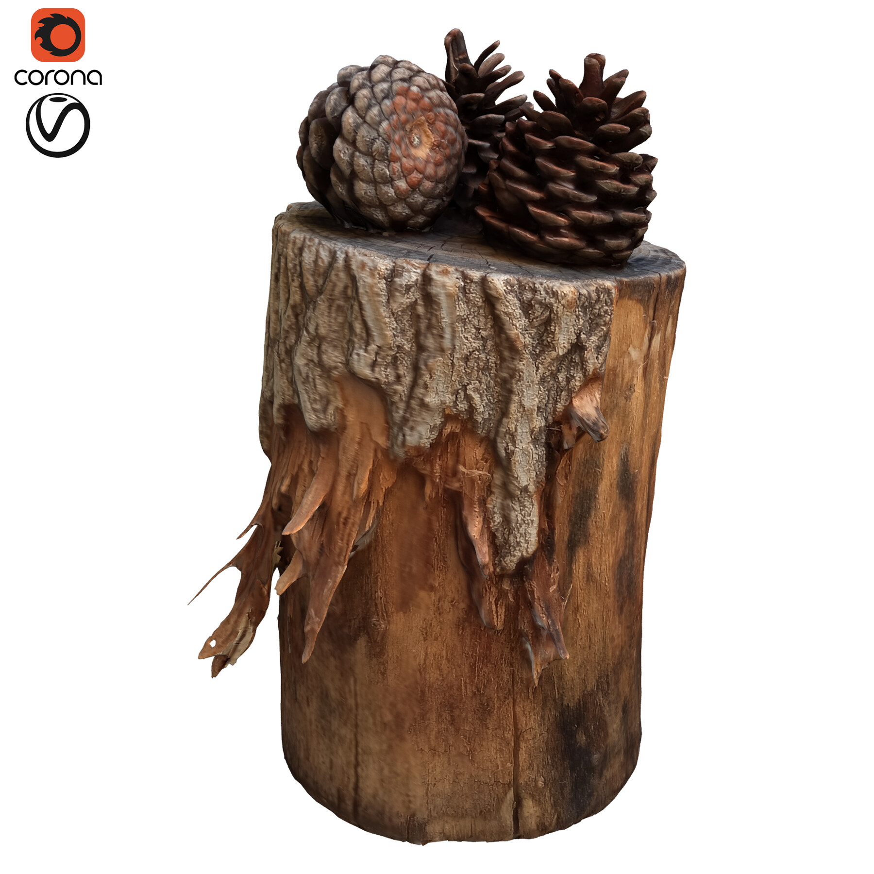 ArtStation - tree trunk pack total 10 tree trunks | Game Assets