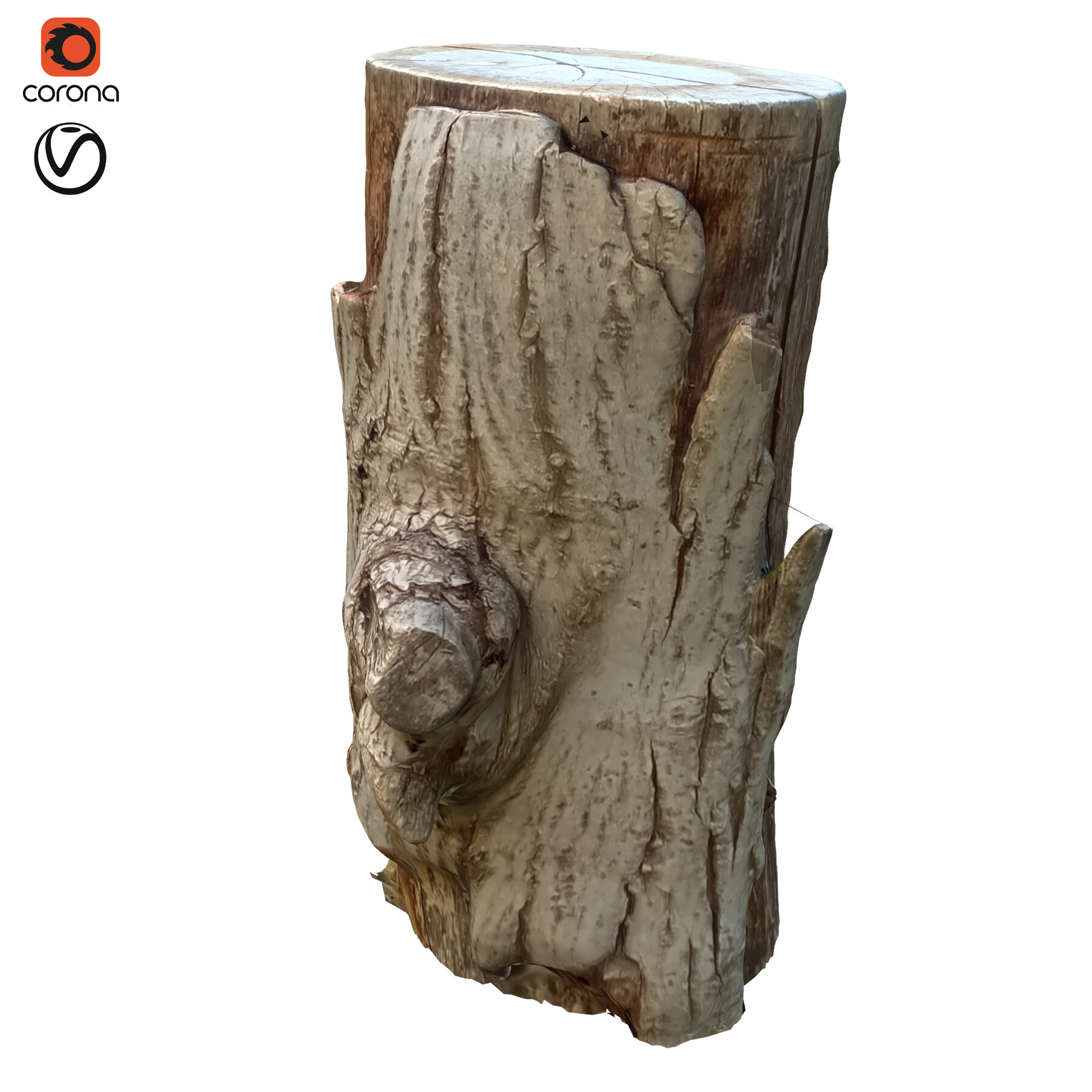 ArtStation - tree trunk pack total 10 tree trunks vol 2 | Game Assets