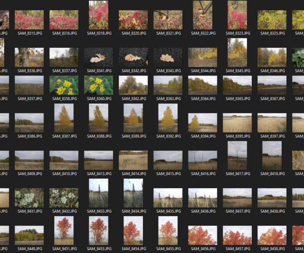 ArtStation - Autumn Mood, 469 Reference Photos | Resources