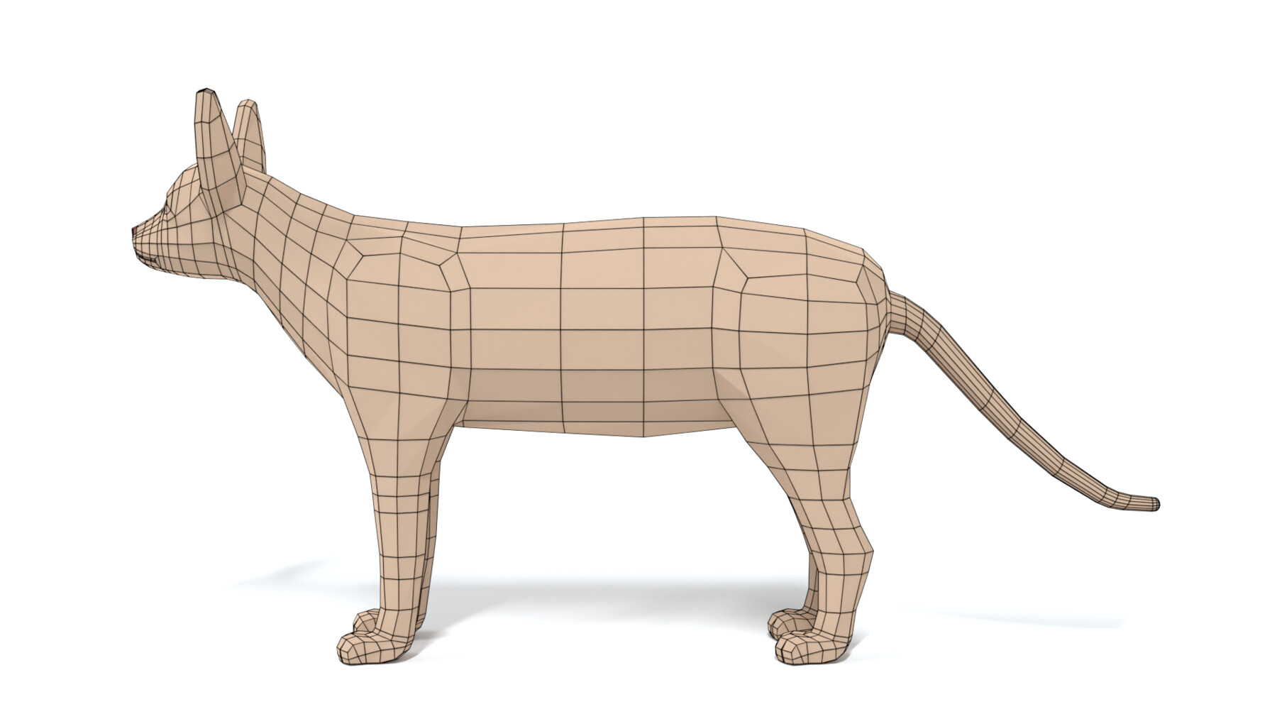 ArtStation - Low Poly Cartoon Sphynx Cat | Game Assets