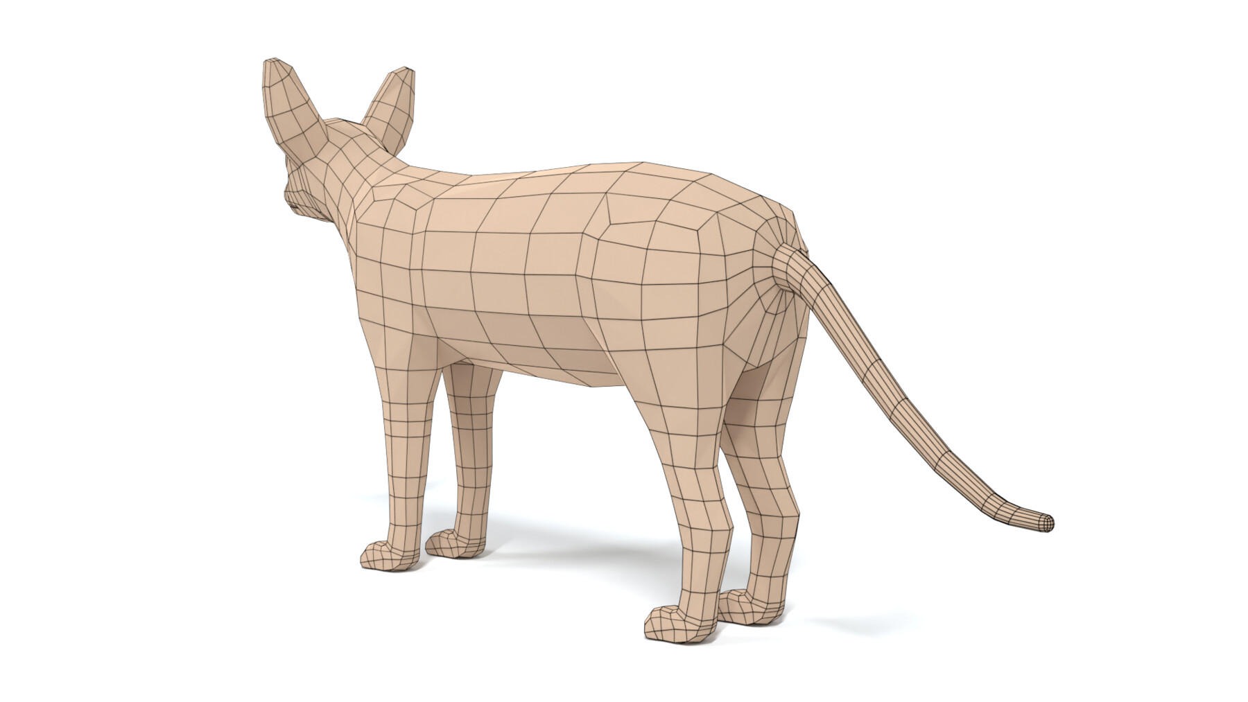 ArtStation - Low Poly Cartoon Sphynx Cat | Game Assets