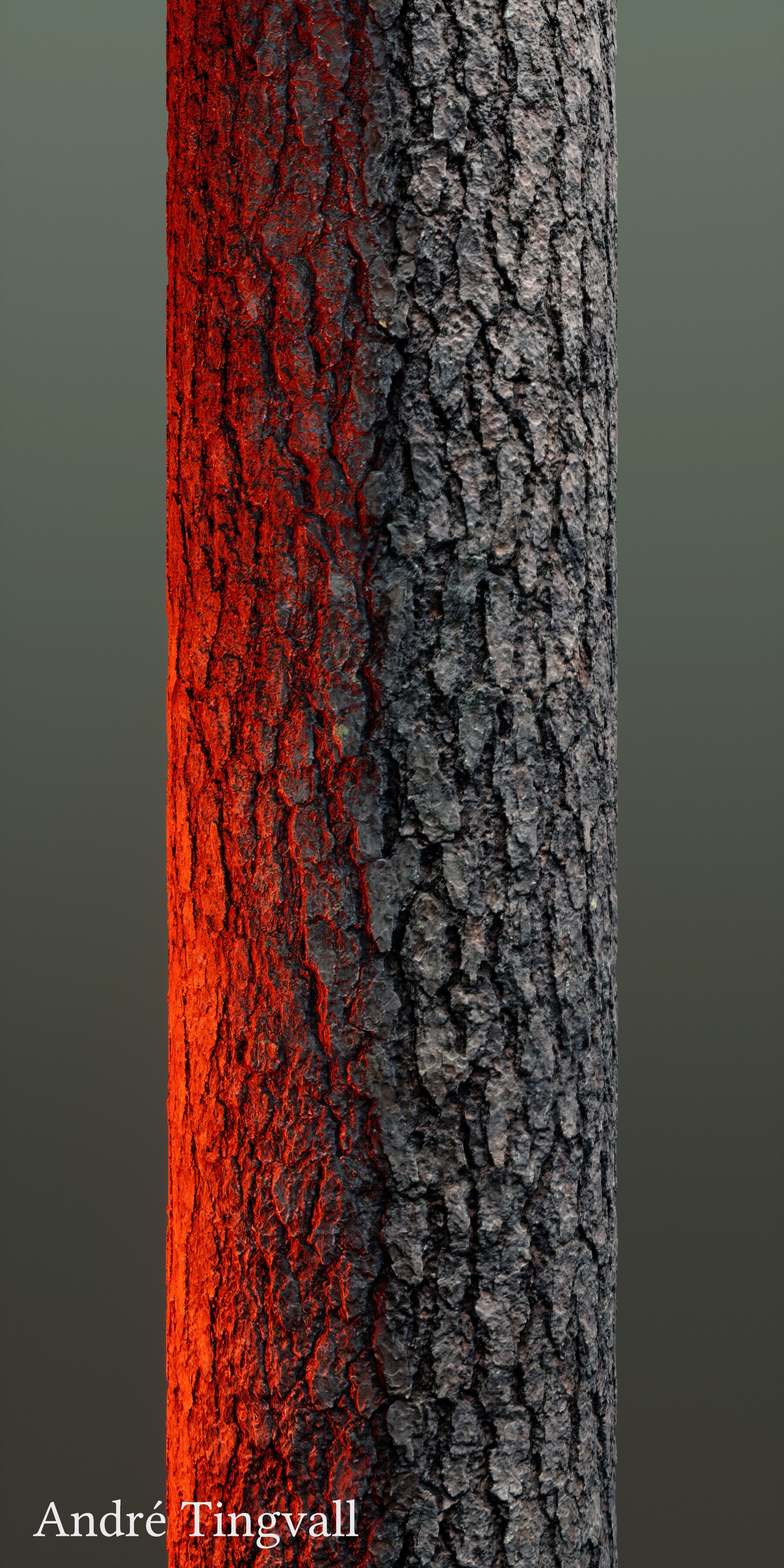 ArtStation - Photogrammetry Tree Trunk Bark Material | Game Assets