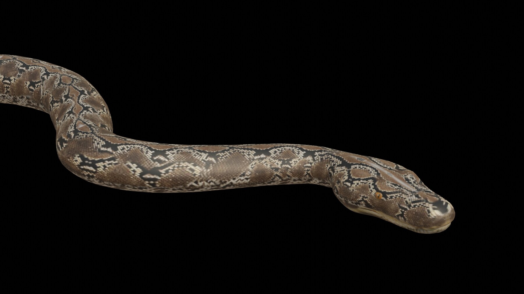 ArtStation - Rigged python 3D model | Resources
