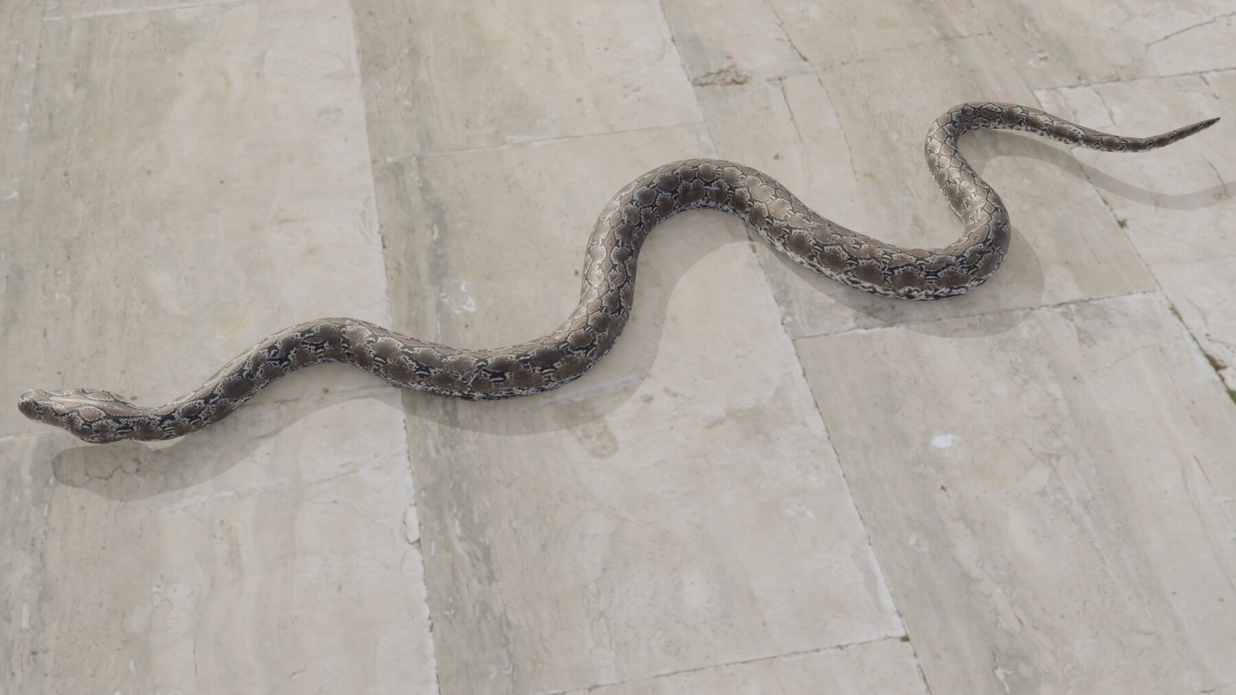 ArtStation - Rigged python 3D model | Resources