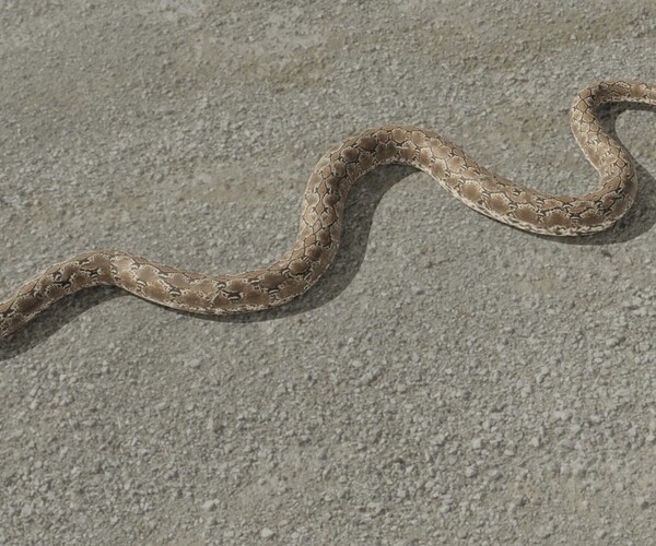 ArtStation - Rigged python 3D model | Resources