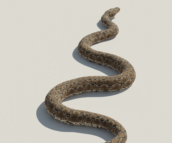ArtStation - Rigged python 3D model | Resources