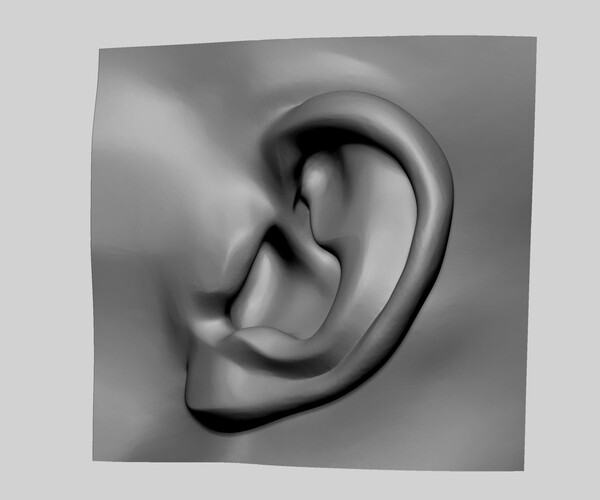 ArtStation - Ear Printable 02 | Resources