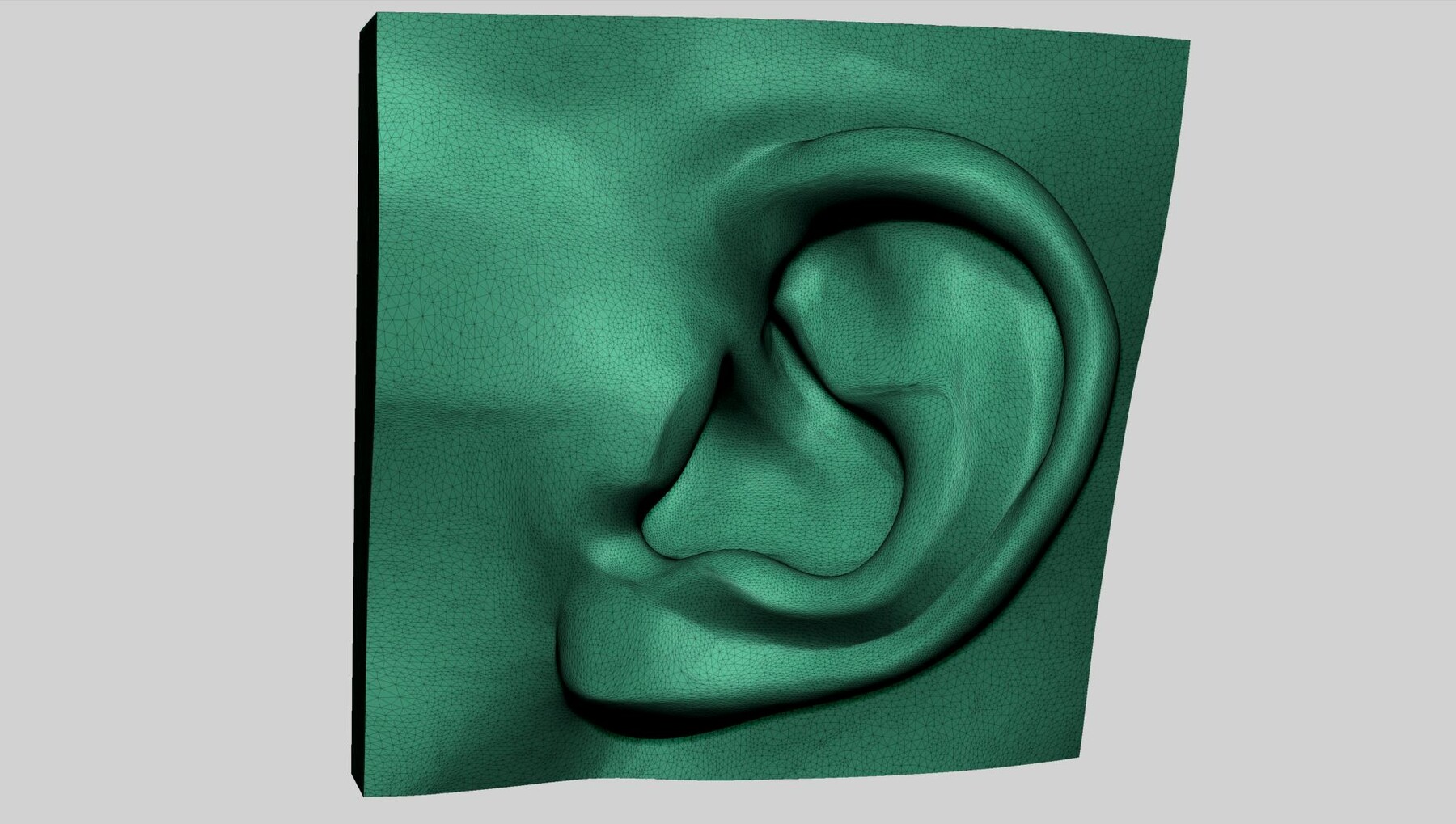 ArtStation - Ear Printable 02 | Resources