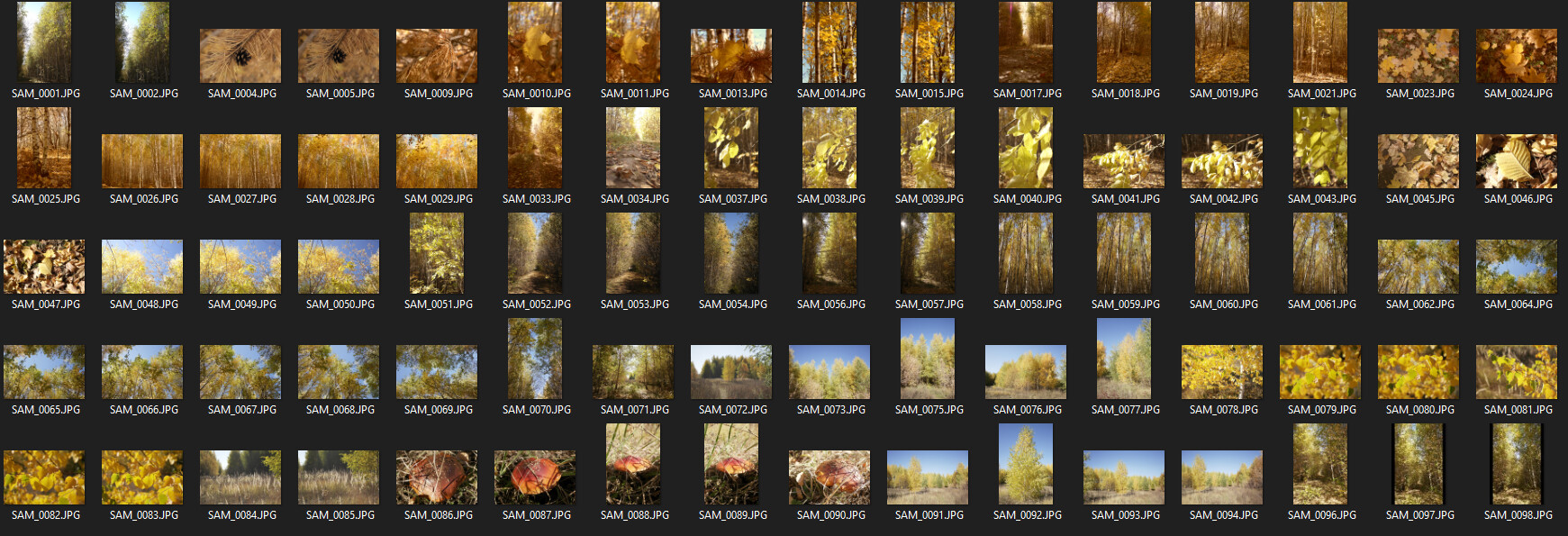 ArtStation - Autumn Mood, 469 Reference Photos | Resources