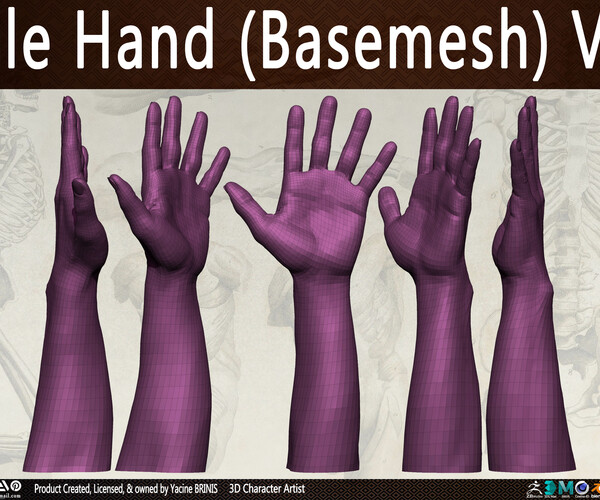 ArtStation - Male Hand (Basemesh) Vol 01 | Resources