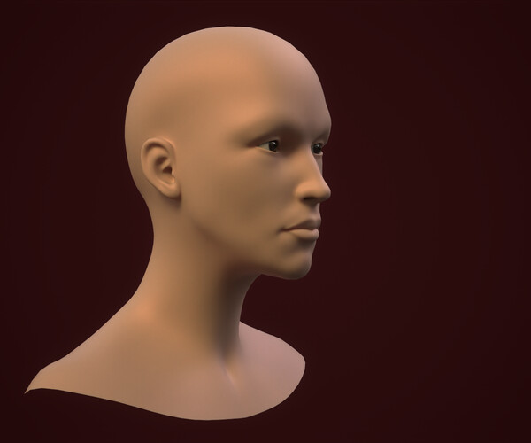 ArtStation - Female Head Free | Resources