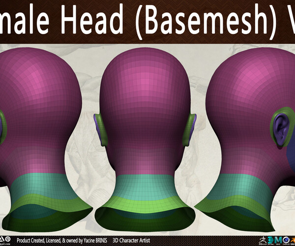 ArtStation - Female Head Basemesh Vol 01 | Resources