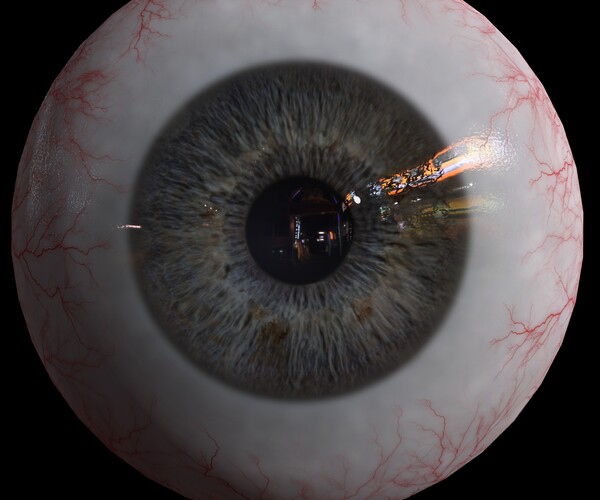 ArtStation - eye | Game Assets