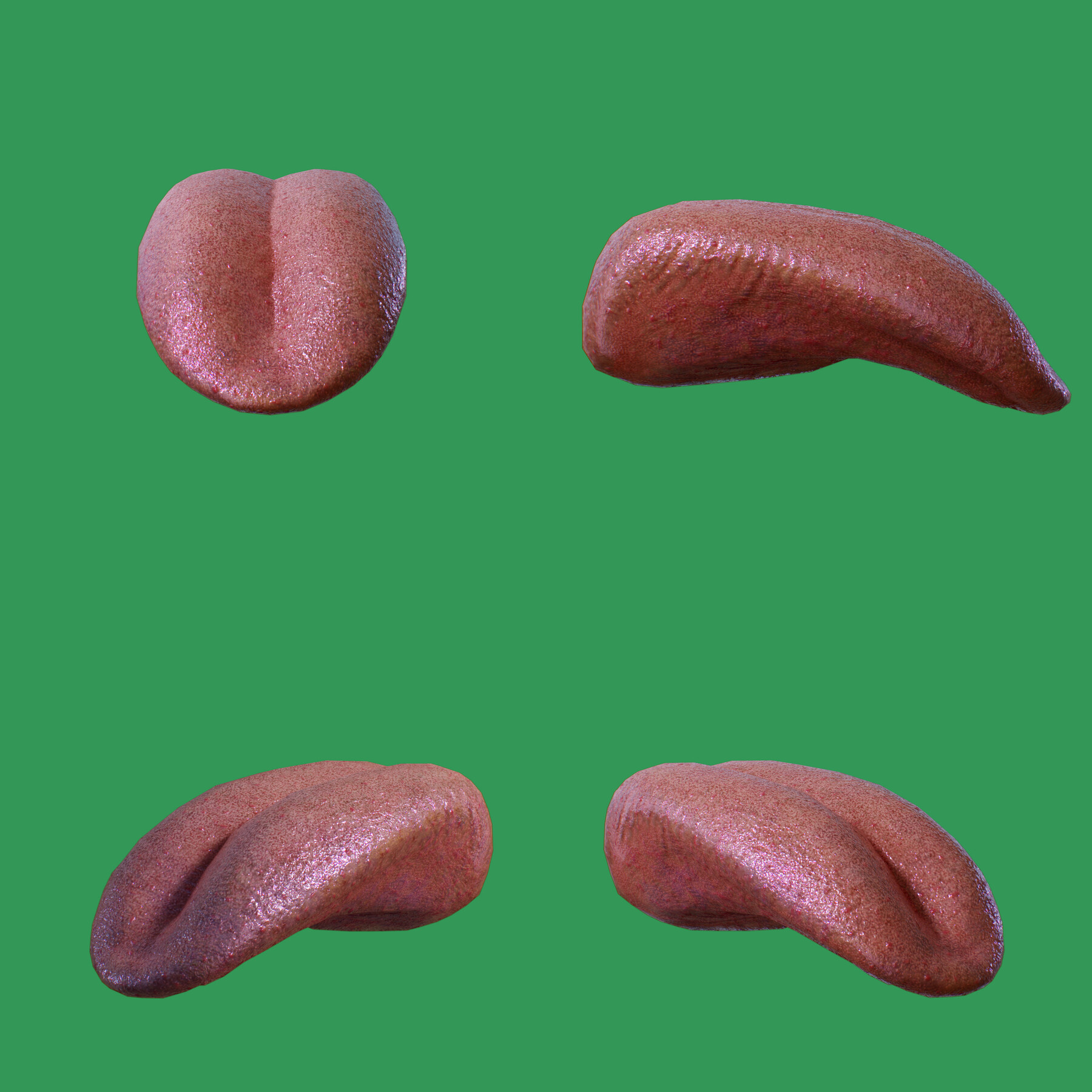 ArtStation - Teeth - Mouth Interior Real Time | Game Assets