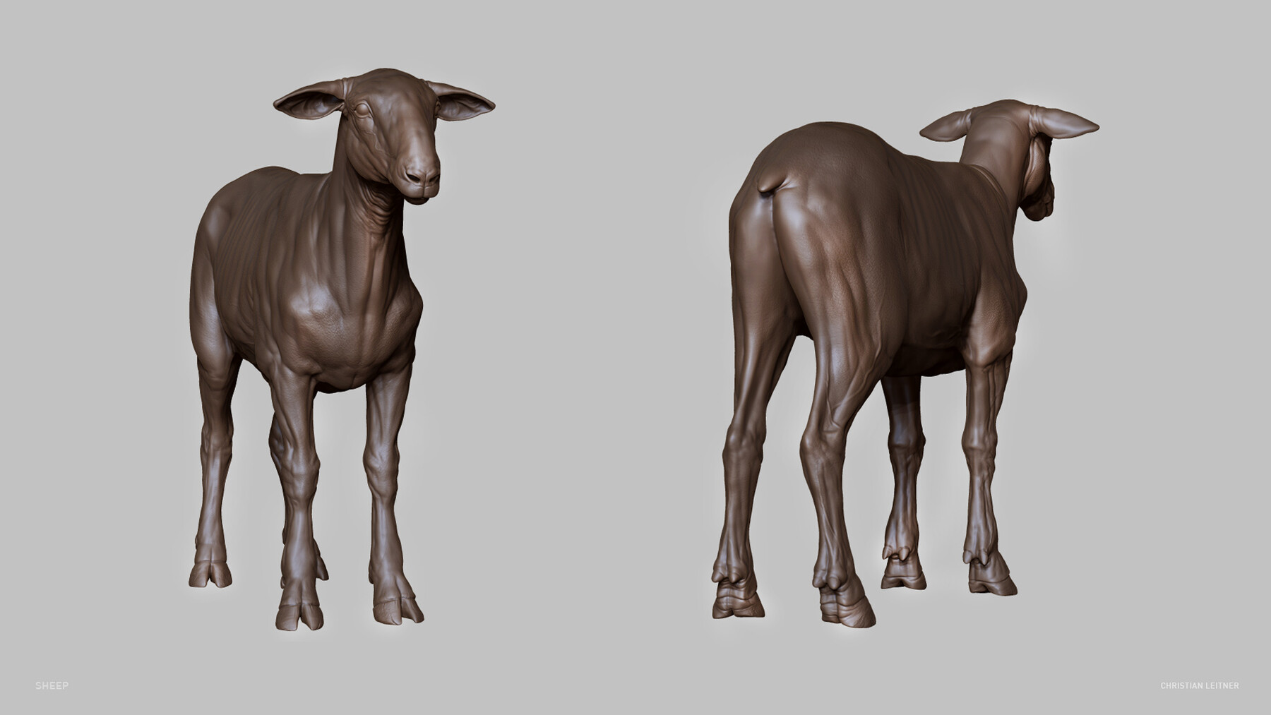 ArtStation - SHEEP - sculpt/retopology/uvs | Resources