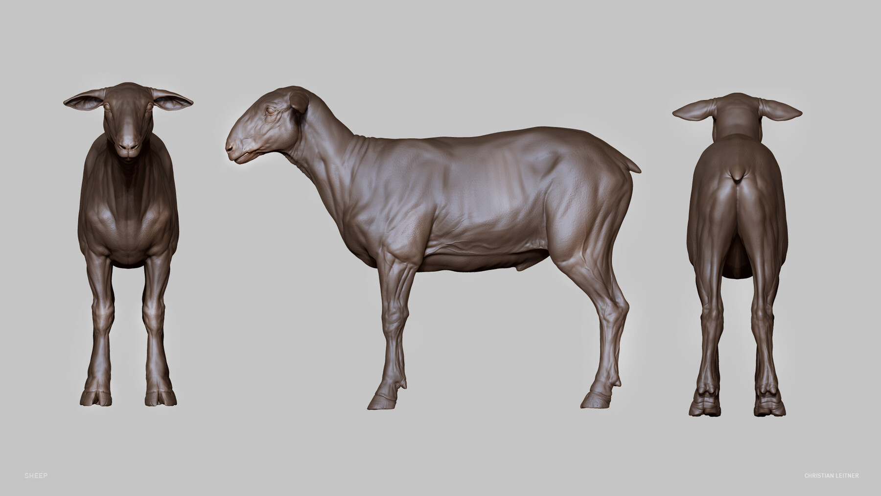 ArtStation - SHEEP - sculpt/retopology/uvs | Resources