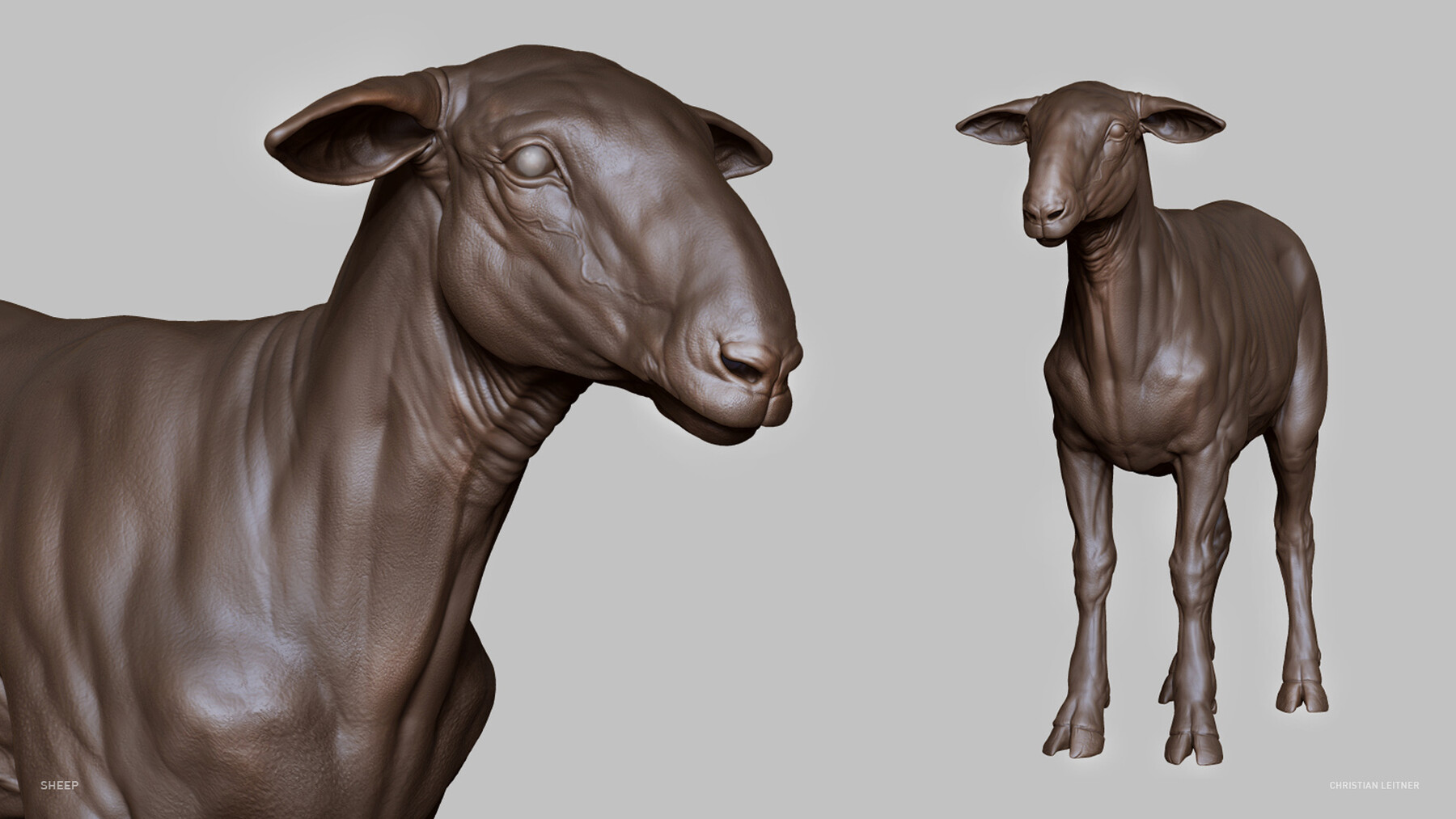 ArtStation - SHEEP - sculpt/retopology/uvs | Resources