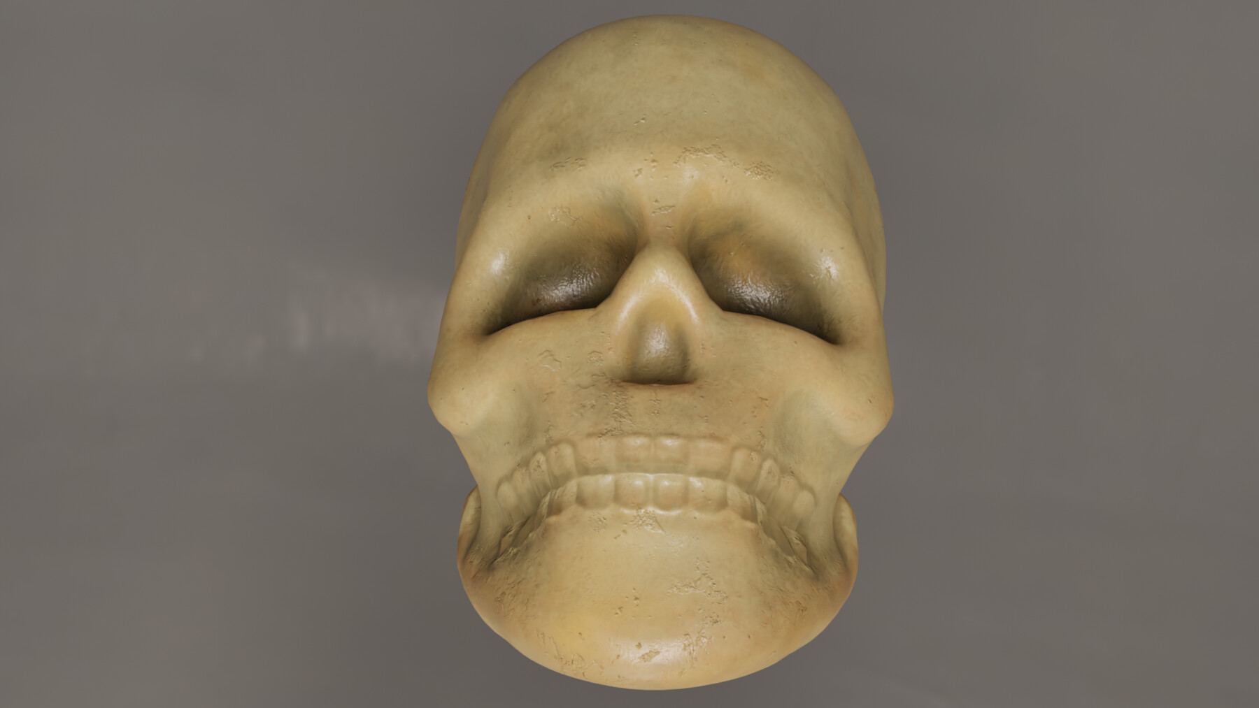 ArtStation - Human Skull | Resources