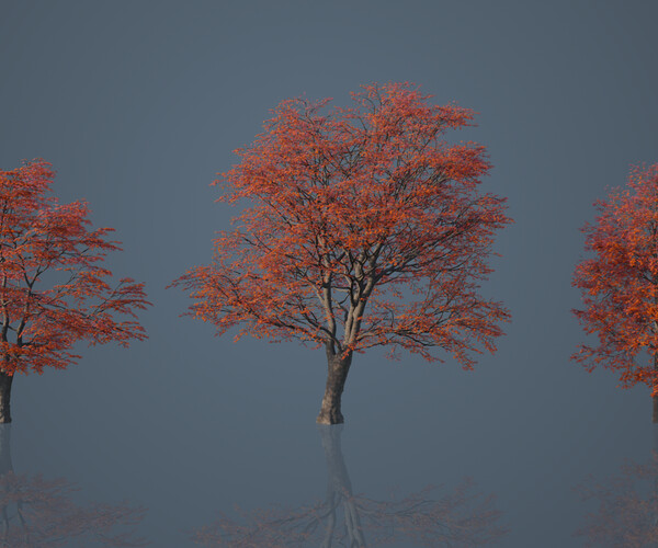 ArtStation - Red Maple Trees | Game Assets