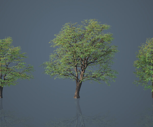 ArtStation - Red Maple Trees | Game Assets