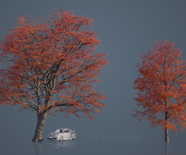 ArtStation - Red Maple Trees | Game Assets